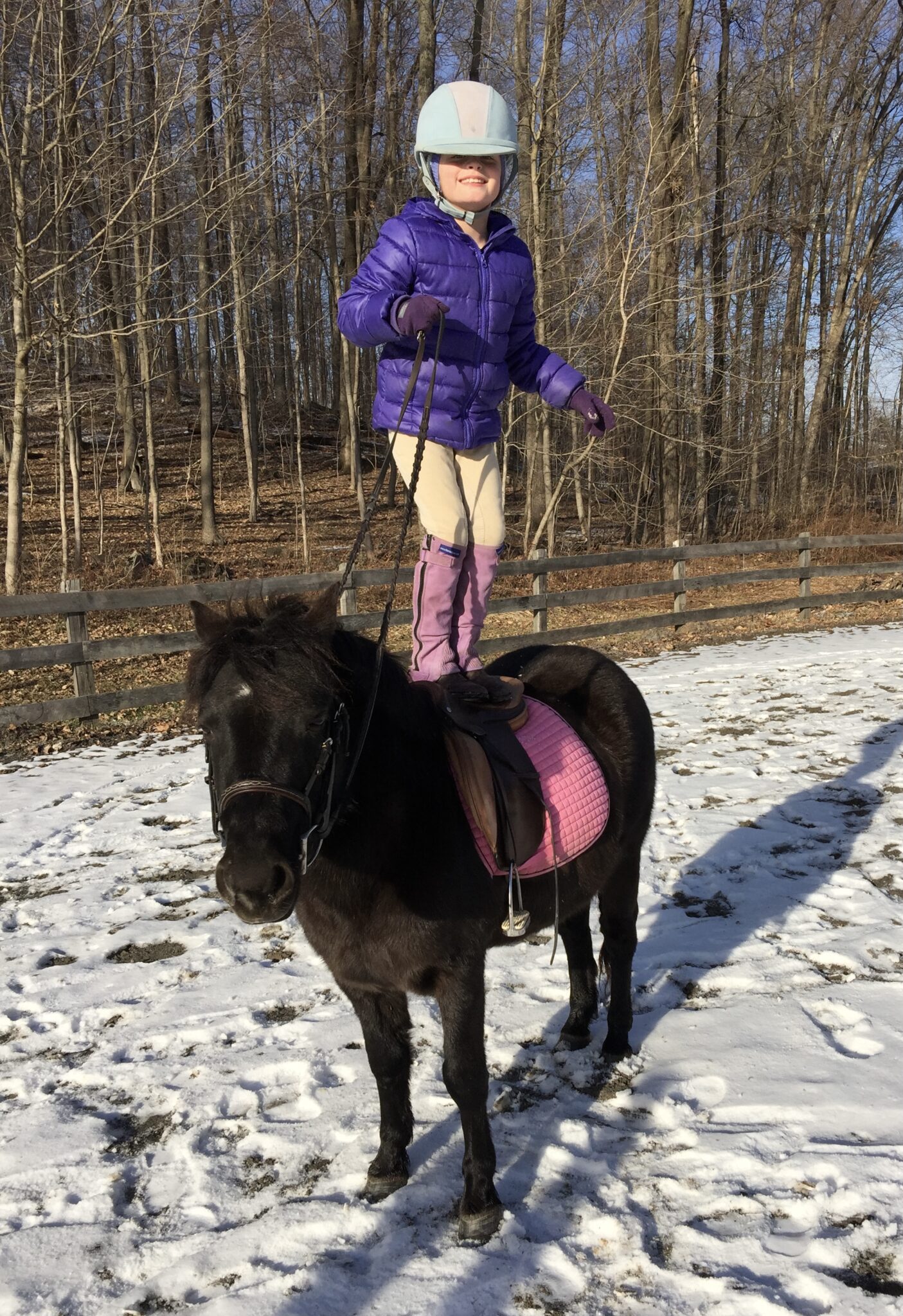 Roots…For the love of “Barn Rat” | The Basic Horse Girl